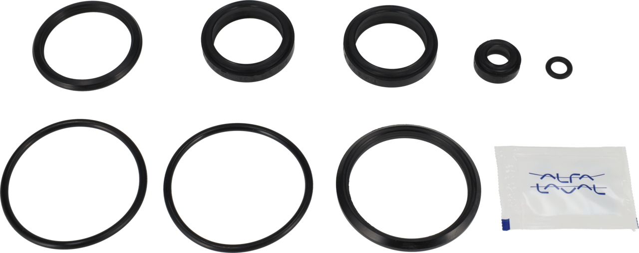 SERVICE KIT EPDM UNIQUE DOUBLE - SEAT 38/DN40 PLUG SET-UP 12