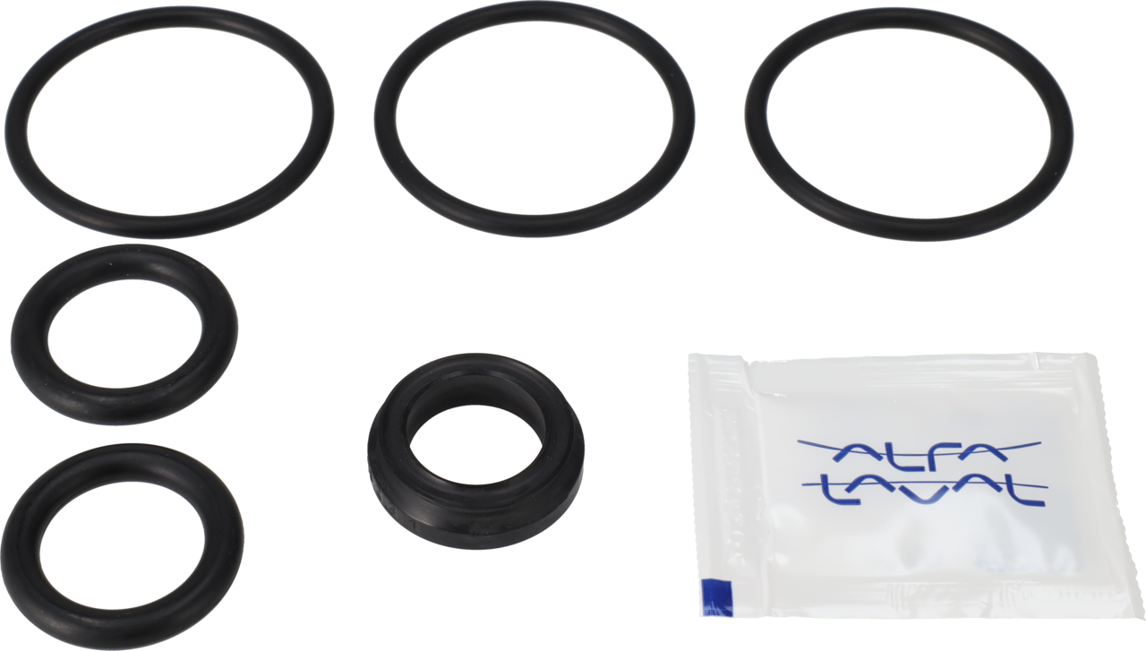 SERVICE KIT EPDM UNIQUE SSV - CHANGE OVER STANDARD AND MANUAL VALVE 25 ...